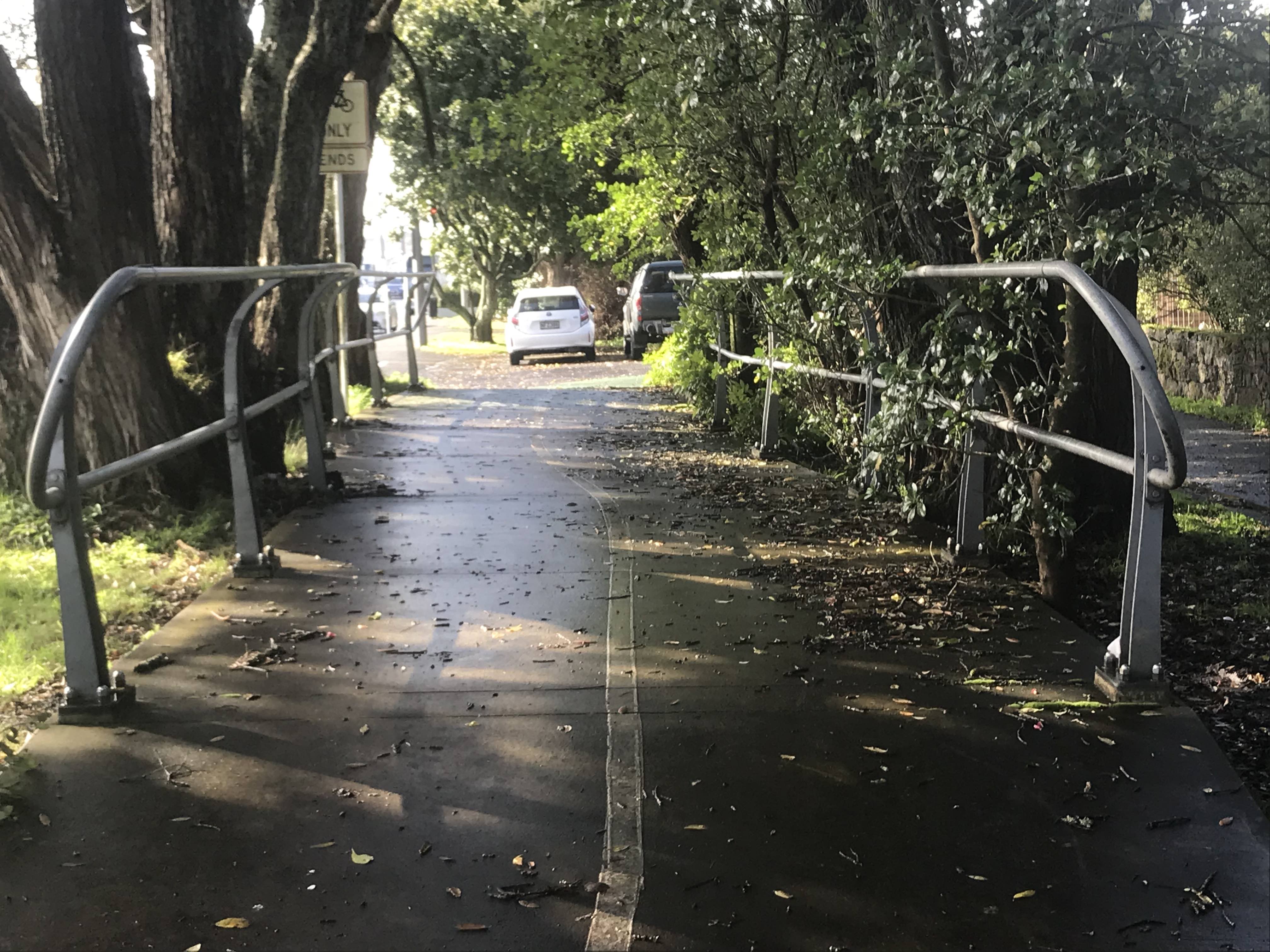 Random Bike Rides: Ōtāhuhu to Greenlane – We Should Practice