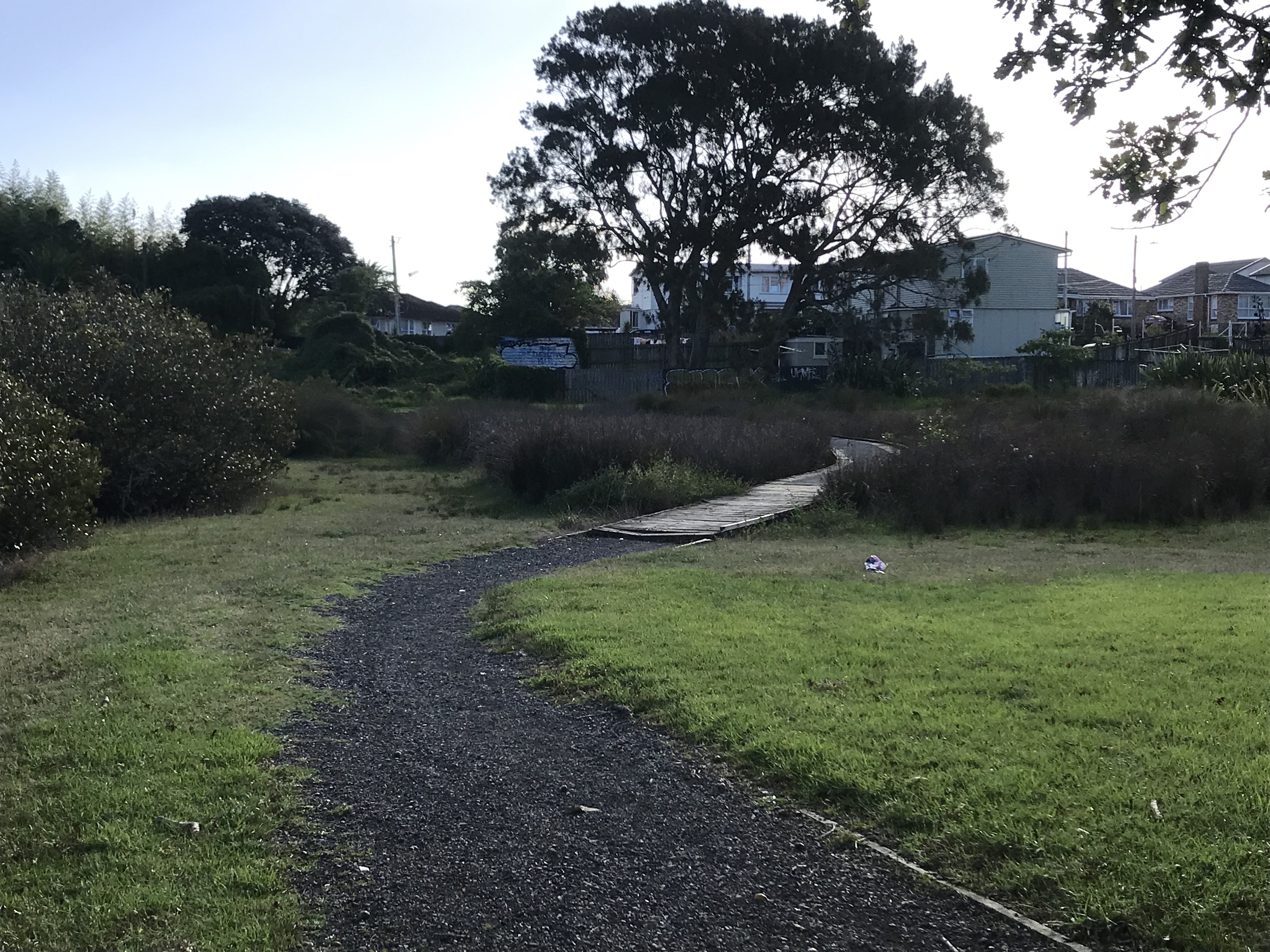 Random Bike Rides: Wahine on 2 Wheels – We Should Practice